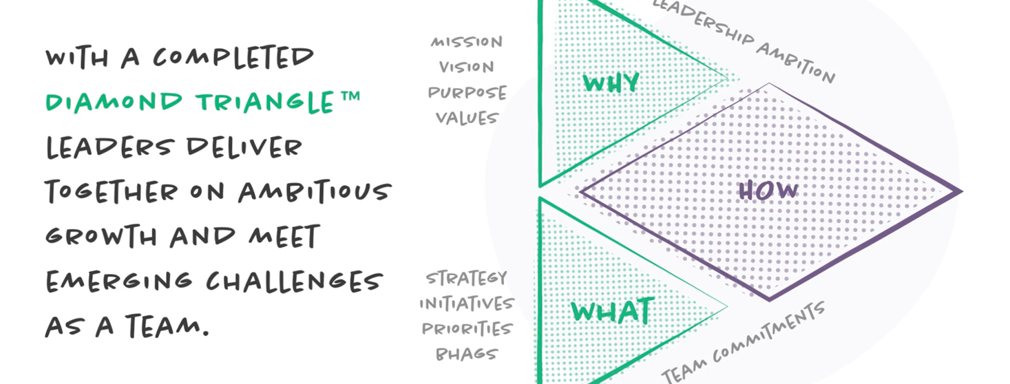 The Diamond Triangle ™ – Aligned leadership with Karrikins Group