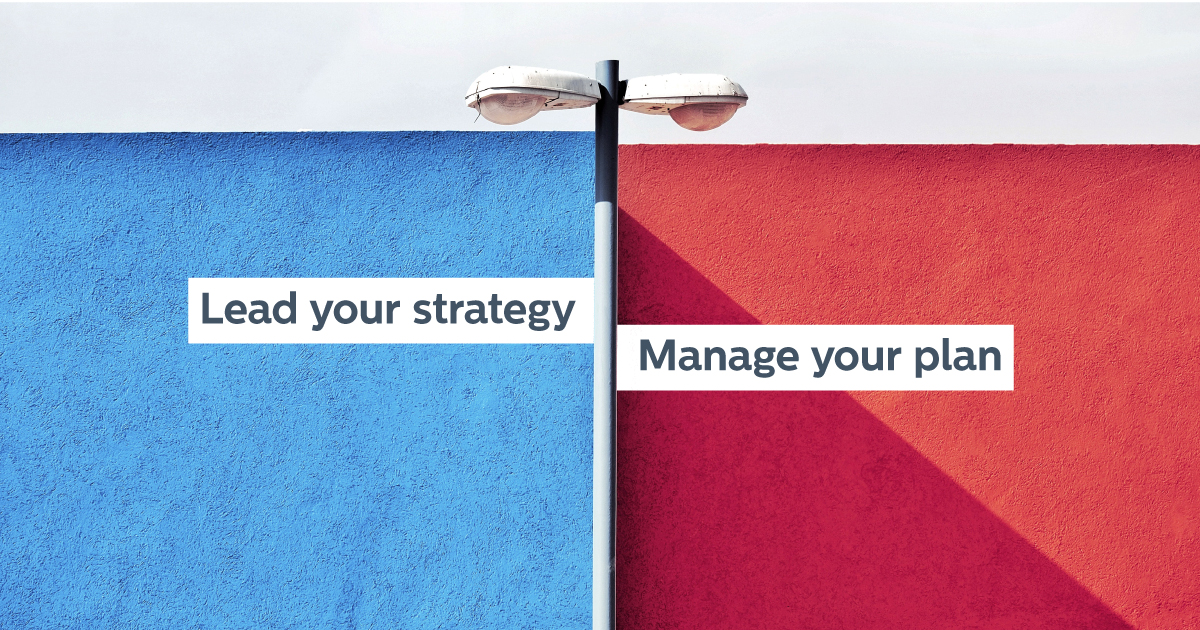 Lead Your Strategy / Manage Your Plan - The Karrikins Group